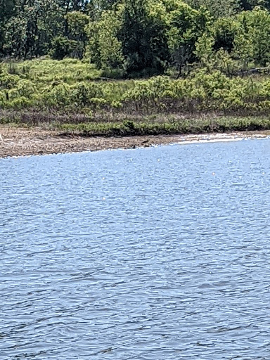 Wallashuck Campground Lake Red Rock in Pella, Iowa - Zaubee