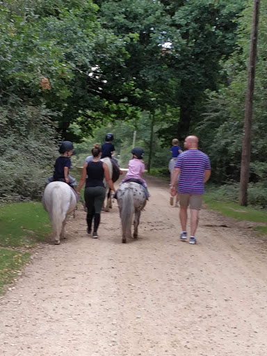 Brockenhurst Riding Stables in Brockenhurst, - Zaubee
