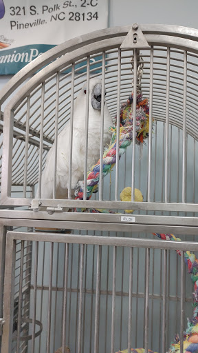 Parrot University - Supplies, Education & Boarding - Charlotte, NC