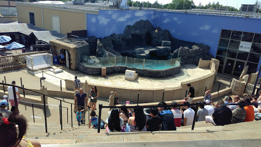 Aquarium «Long Island Aquarium», reviews and photos, 431 E Main St ...