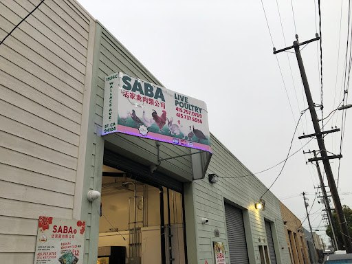 Saba Live Poultry 2 in Bayview, San Francisco, California - Zaubee