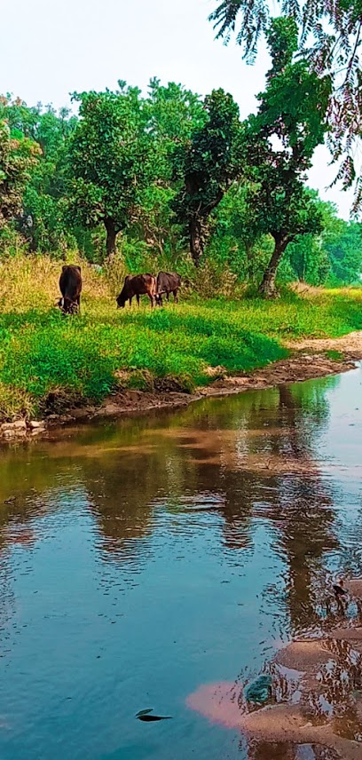 Hasdeo River - River - Chhattisgarh - Zaubee