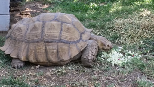 Zoo «Applegate Park», reviews and photos, 1045 W 25th St, Merced, CA ...