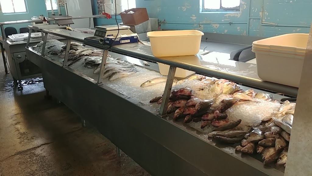 Murray L. Nixon Fishery - Edenton, NC 27932, Reviews, Hours & Contact