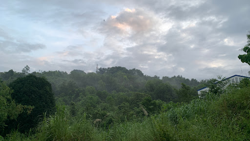 Woodlane Forest Events Place & Resort in Padilla, Antipolo, Rizal - Zaubee