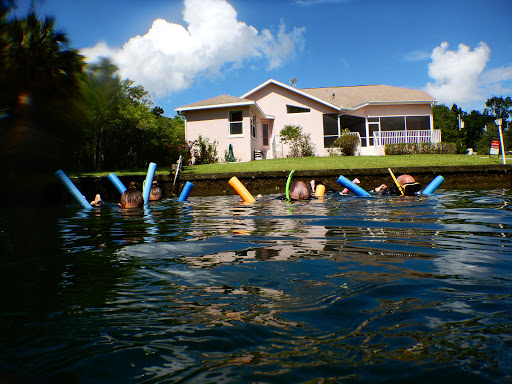 Tourist Attraction «Fun 2 Dive - Swim with Manatees», reviews and ...