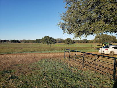 Solana Ranch Wildlife - 5750 Solana Ranch Rd, Salado, Texas - Zaubee