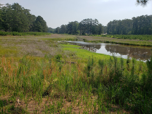 Golf Course «Fort Jackson Golf Club», reviews and photos, 3652 Semmes ...