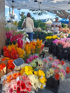 Takapuna Market