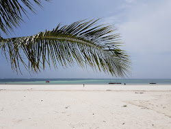 Diani Beach | Kenya - detailed features, map, photos