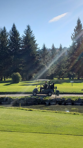 Golf Club «Snoqualmie Falls Golf Course», reviews and photos, 35109 SE ...