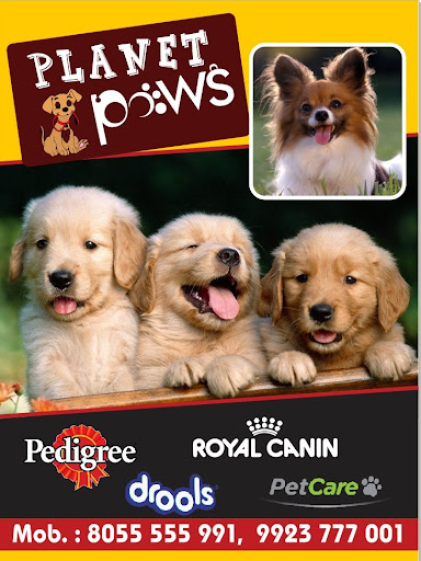 Planet Paws - Pet Store in Aurangabad