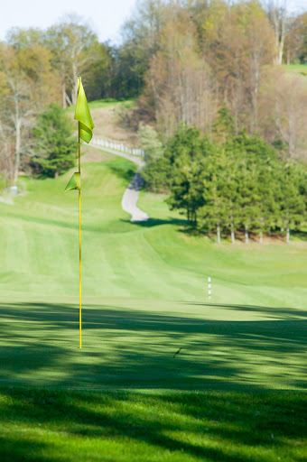 Public Golf Course «Bahle Farms Golf Course», reviews and photos, 9505 ...