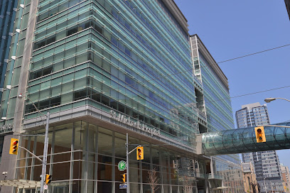 Li Ka Shing Knowledge Institute