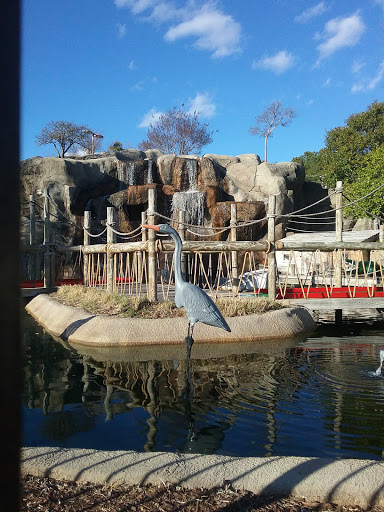 Amusement Park «Adventure Landing Raleigh», reviews and photos, 3311 ...