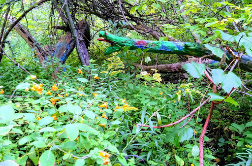 Hippie Tree - Traverse City, Michigan, US - Zaubee
