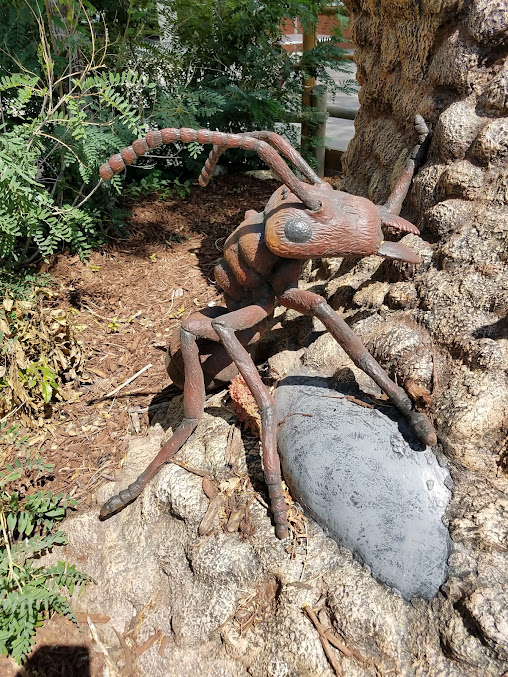 Reviews Conservation Carousel at Hogle Zoo (Zoo) in Utah ...