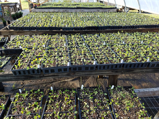 Modesto Farms - AZexplained