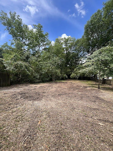Tree Trimming & Removal Services Decatur, GA | Don's Tree Service