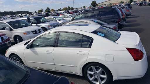 Manheim New Jersey - AZexplained