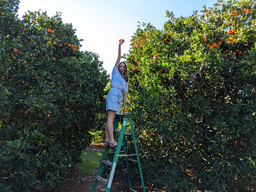 Agritopia Farm - AZexplained