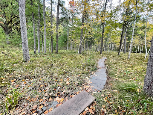 Park «Quaking Bog», reviews and photos, Theodore Wirth Pkwy ...