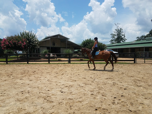 Moonlight Stables & Wedding Venue | Ride The Horse