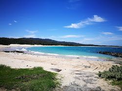 Kioloa Beach 🏖️ Shoalhaven City, Australia - detailed features, map, photos