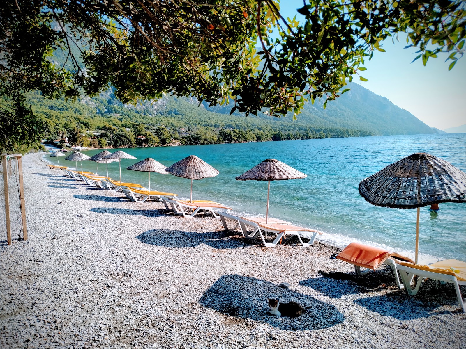 Akbuk Bay II Strand (Akbük Koyu Plajı II) 🏖️, Mugla (Türkei) - Alle ...