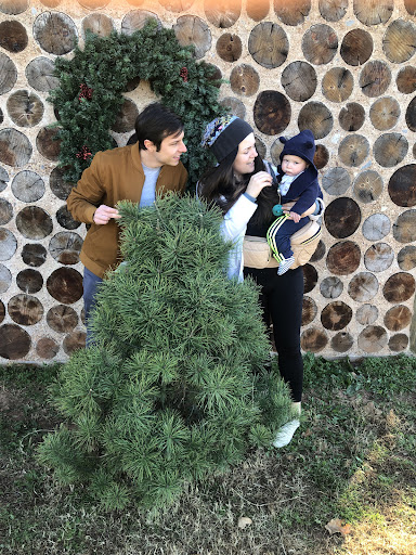Odell Christmas Tree Farm - AZexplained
