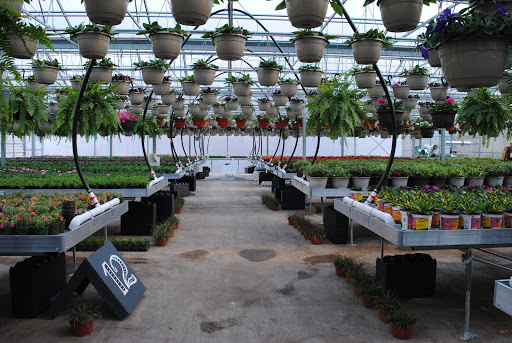 Country Farms Ii - AZexplained