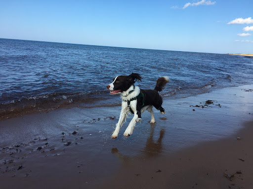 Blooming Point Beach in Mount Stewart, Prince Edward Island - Zaubee