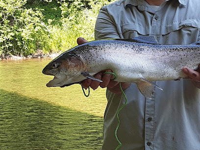 Soque River Outfitters - 159 Walls Complex Circle, Clarkesville ...