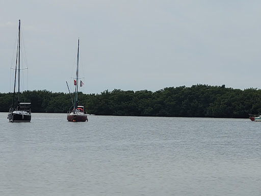 Gandy Beach Mangroves - 13498 Gandy Blvd N, St. Petersburg, Florida ...