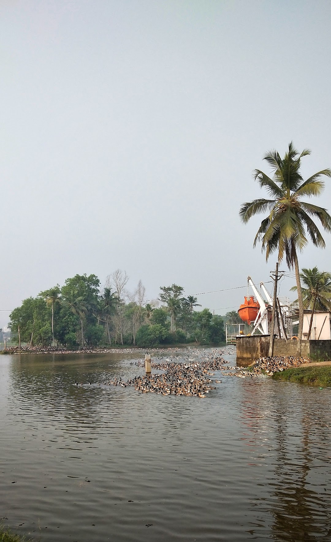 Kadambrayar Eco Tourism Village Restuarant And Boat Club in the city ...