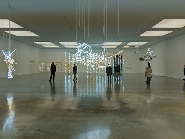 Reviews of White Cube (Museum) in London (London)