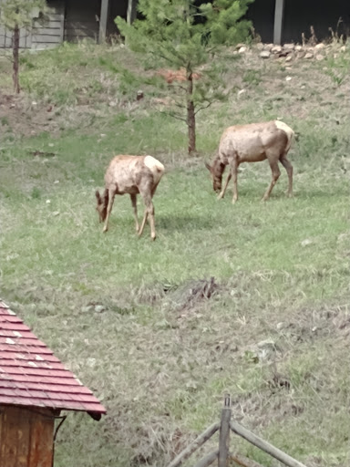 Museum «Hiwan Homestead Museum», reviews and photos, 4208 Timbervale Dr ...