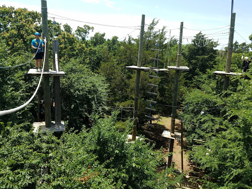 Amusement Park «Trinity Forest Adventure Park», reviews and photos ...