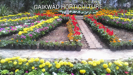 GAIKWAD HORTICULTURE Professional Garden Services - Landscaper in Pune