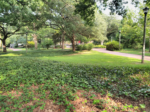 University of South Carolina - AZexplained