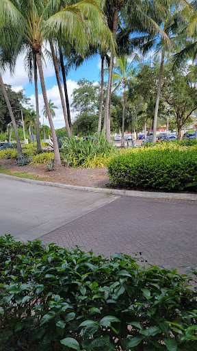 Golf Course «The Bridges at Springtree Golf Club», reviews and photos ...