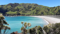 Cable Bay Beach 🏖️ The Glen, Južni Otok, Nova Zelandija - podrobne ...