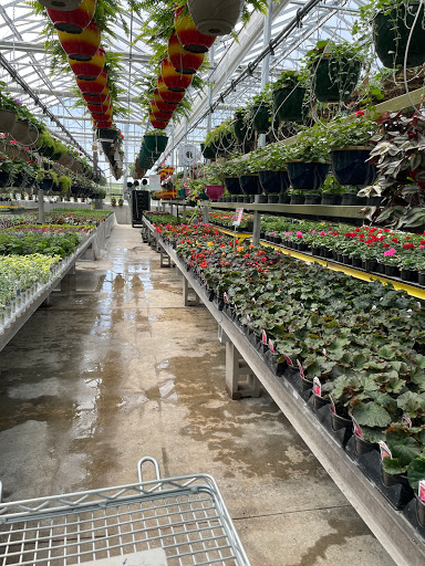 South West Valley Farm Poultry And Greenhouse in Kalona, Iowa - Zaubee
