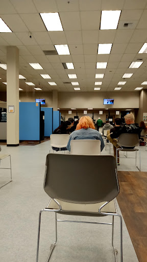 Washington State Department of Licensing - AZexplained