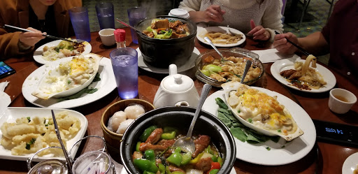 Purple Dot Cafe - AZexplained