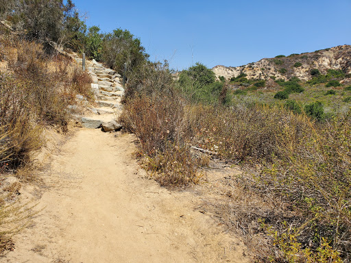 Manchester Preserve Hiking Trails