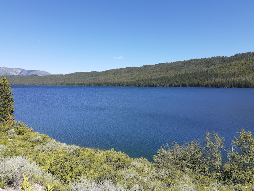 ALTURAS LAKE PICNIC AREA (ID) - AZexplained