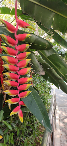 Capgemini Technology Services India Limited - 155-156, EPIP Zone ...