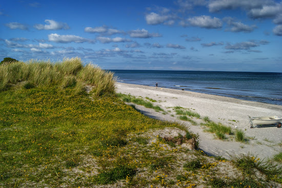 Saltum 🏖️ all 37 beaches around 15km (Denmark, North Denmark Region)