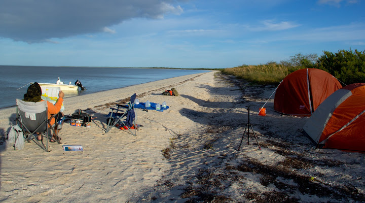 East Cape beach 🏖️ Conch Key, Florida, United States - detailed ...